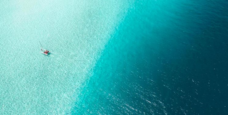 El mar está cambiando de color, ¿Sabes por qué? - Q'hubo Cali