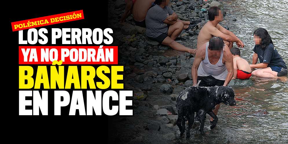 Los perros ya no podrán bañarse en Pance - Q'hubo Cali