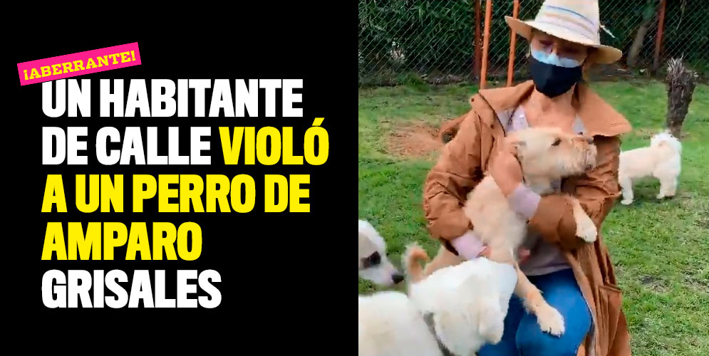 Un habitante de calle violó a un perro de Amparo Grisales Un habitante de calle violó a un perro de Amparo Grisales