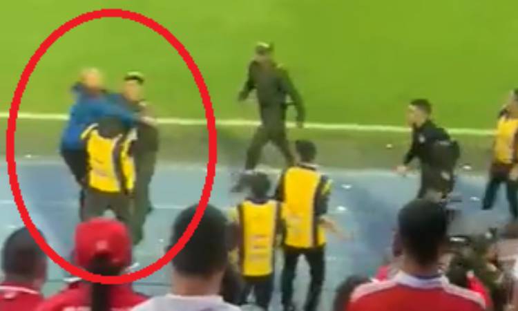 Video: Diego Novoa se fue a los golpes con un hombre de logística en ...