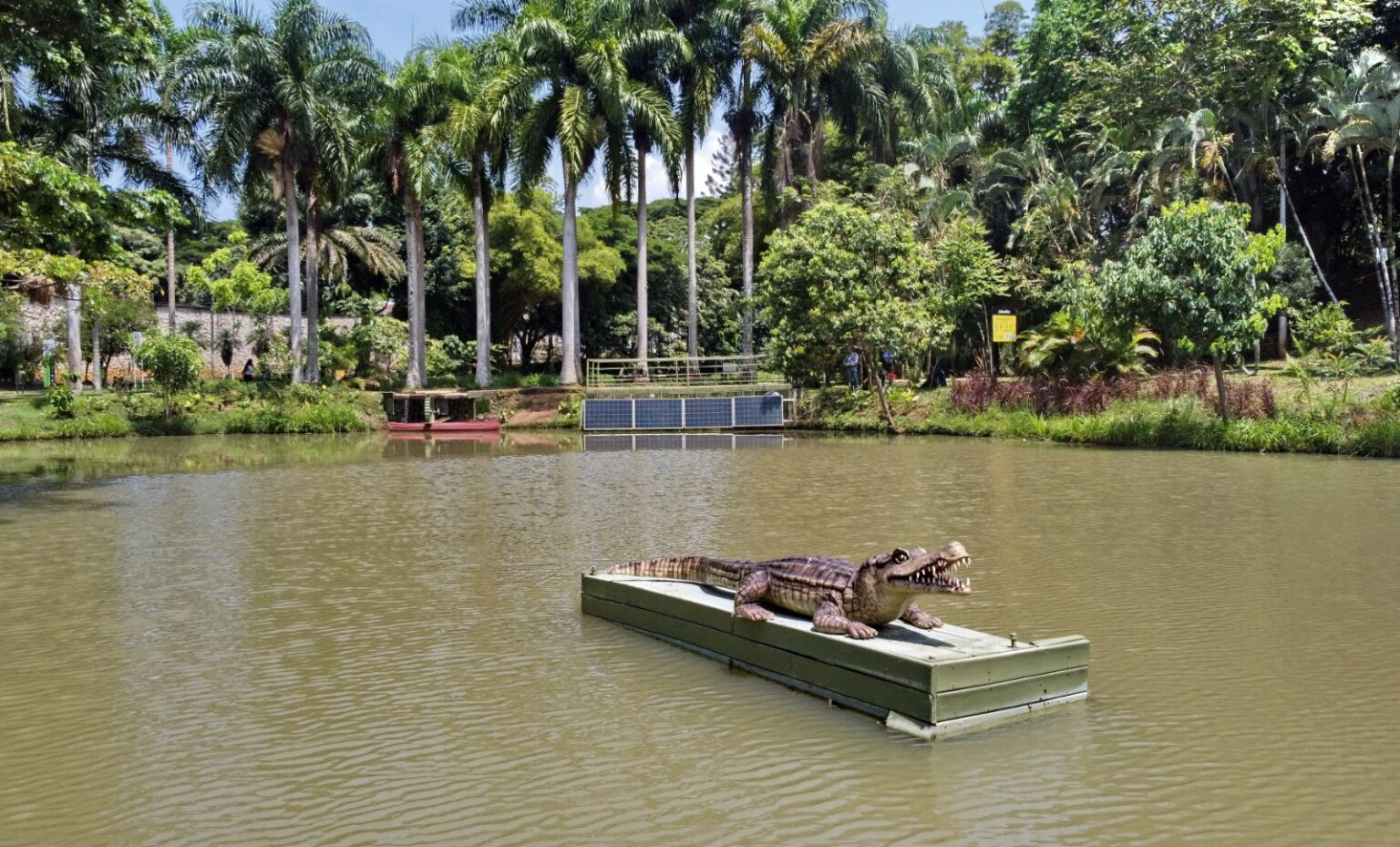 El Lago de la Babilla se puso 'titino' ¿Ya se pegó el 'borondo'?